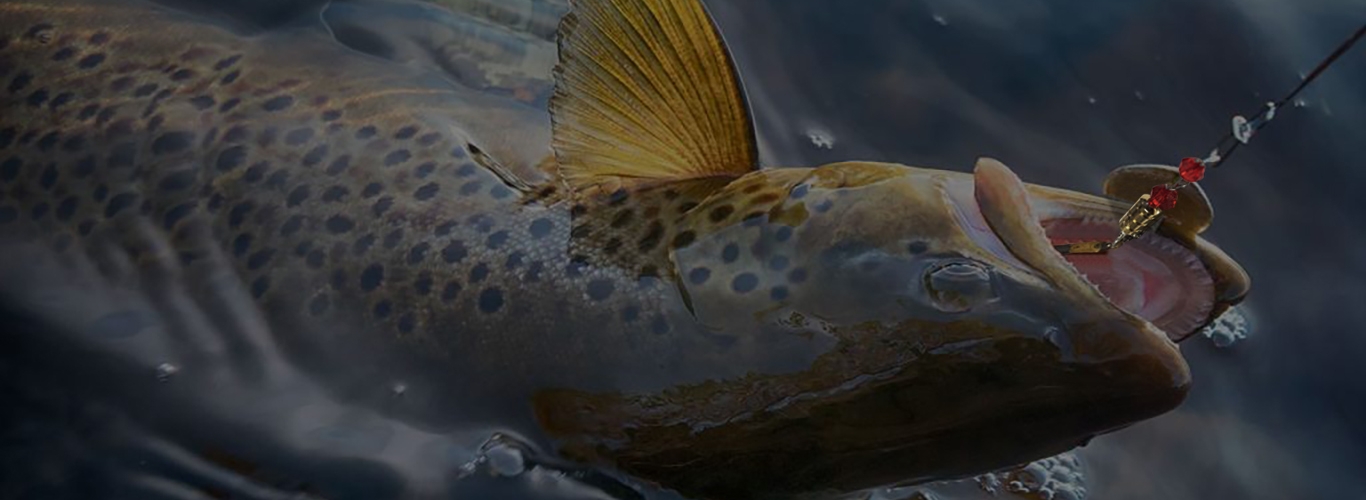 Home - Lucky Strike Bait Works Ltd. Lucky Strike Bait Works Ltd.